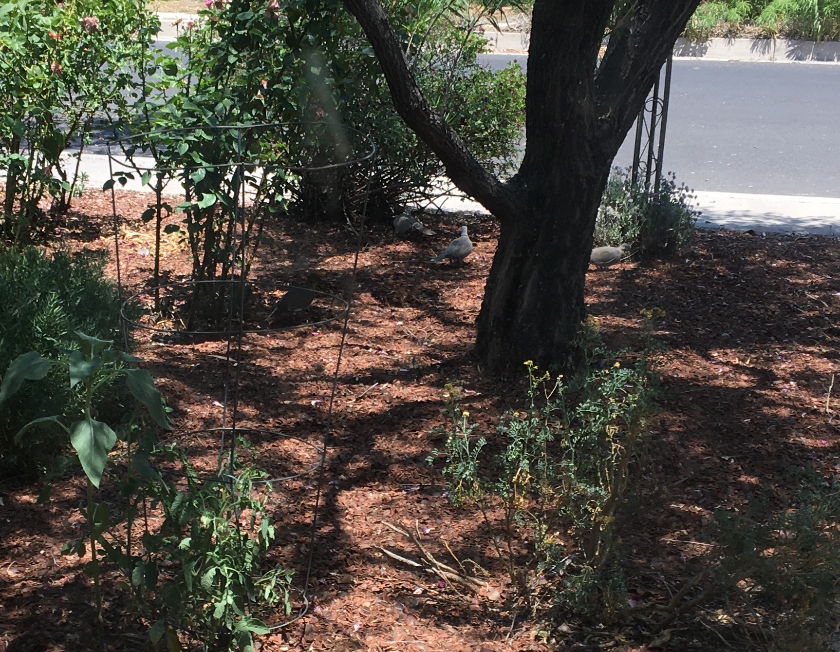 Year half over – Kate Harrington